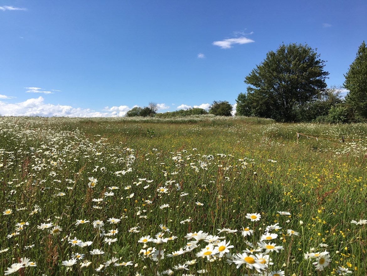 Hs2 Accelerates Works Contract Uk Construction Online