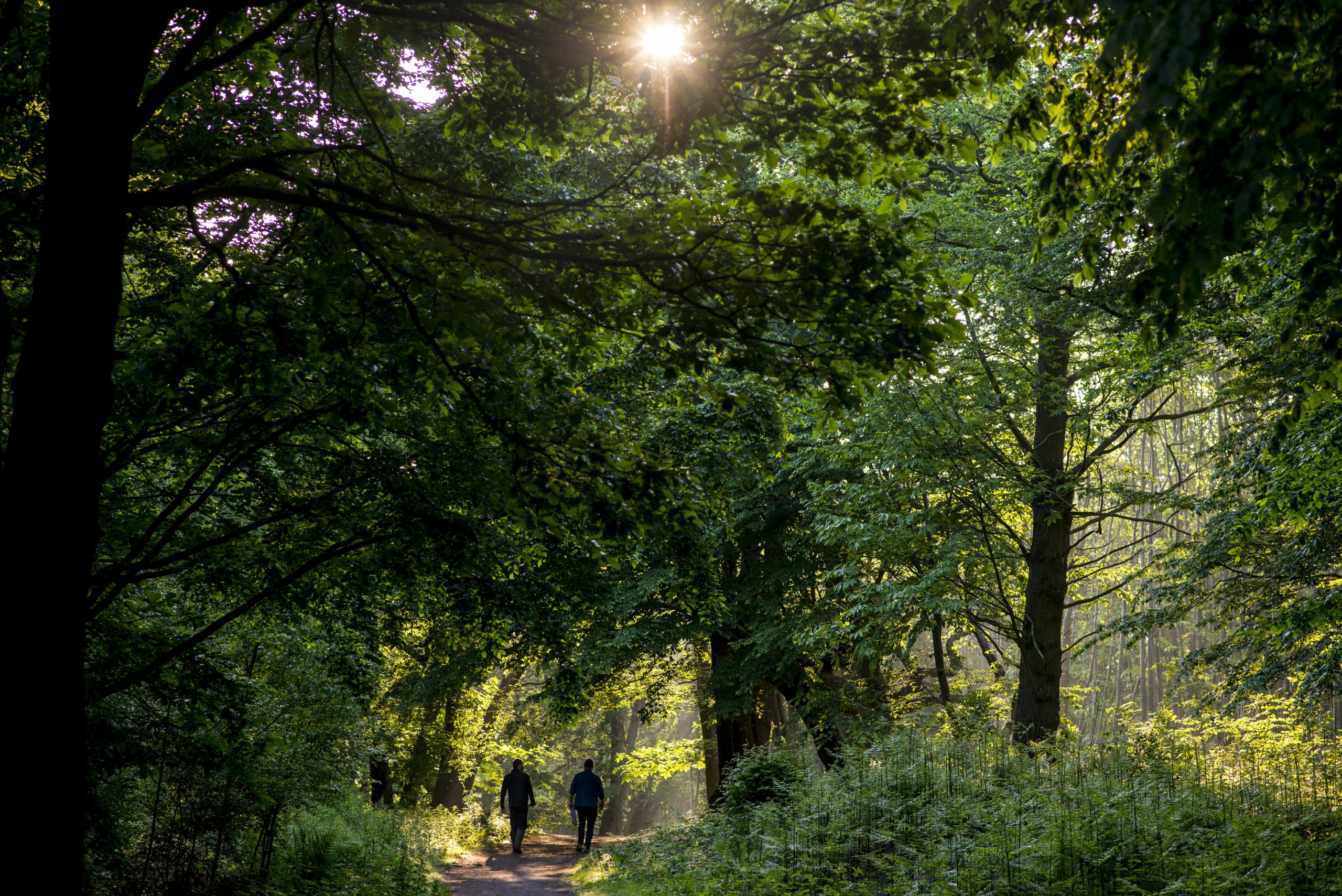 Greener infrastructure - UK Construction Online