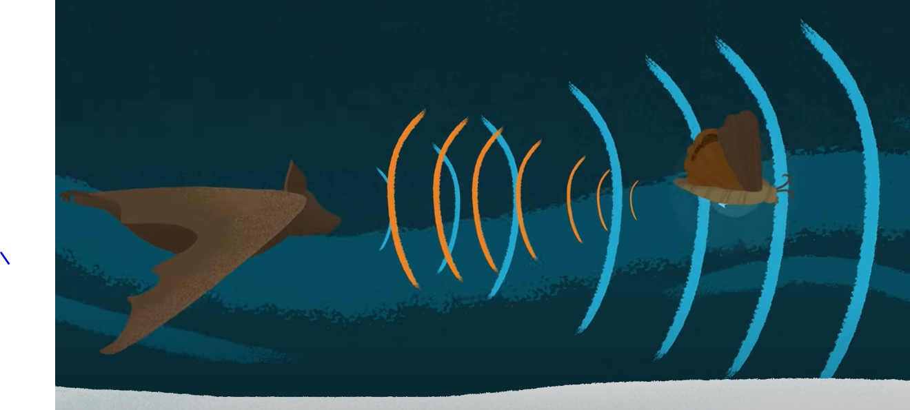 How moths inspired new soundproofing metamaterials - UK Construction Online